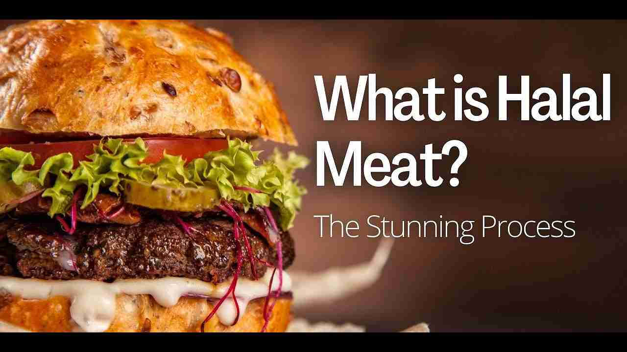 What is Halal Meat? (Video) - The Halal Times
